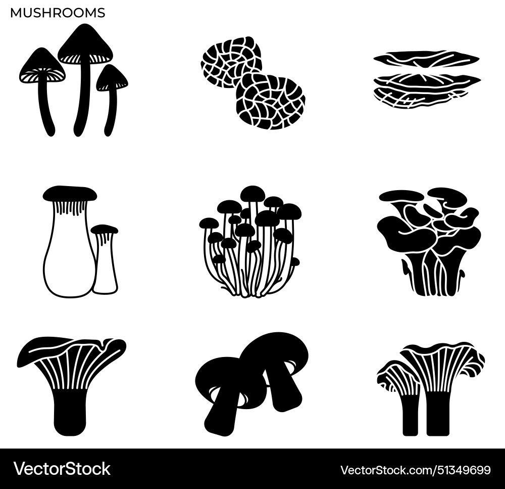 Mushroom and fungi Royalty Free Vector Image - VectorStock