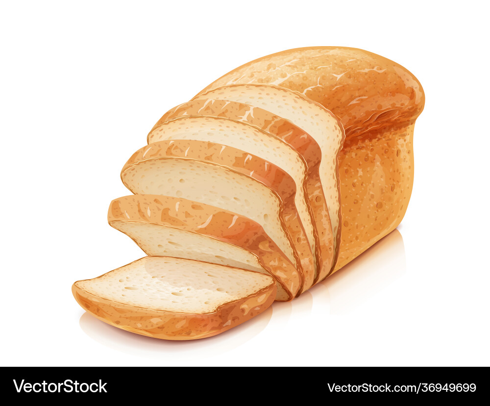 Traditional classic bread Royalty Free Vector Image