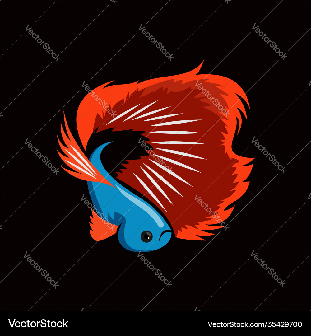 Beta fish in flat color template Royalty Free Vector Image