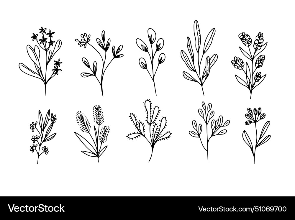 Flower simple icon doodle outline plant Royalty Free Vector
