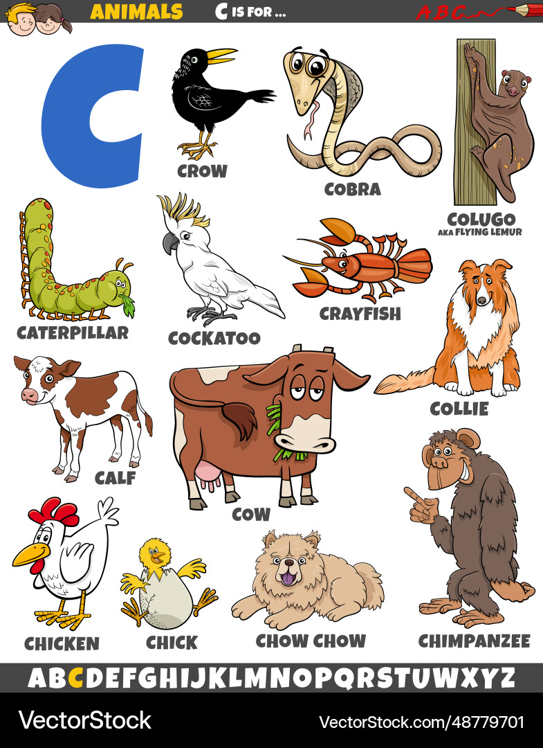Cartoon animal characters for letter c Royalty Free Vector