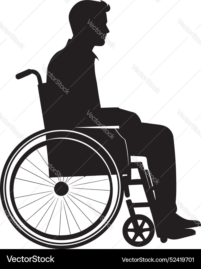 Equality roll wheelchair icon design accessible Vector Image