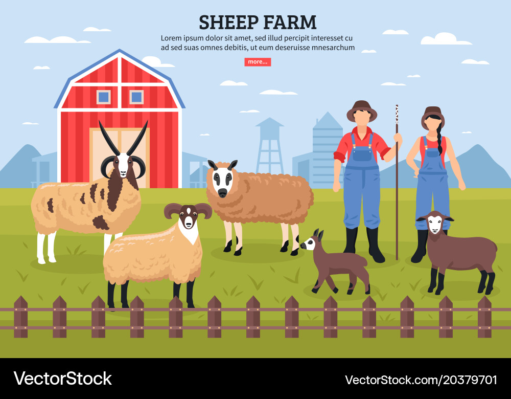 Sheep farm poster Royalty Free Vector Image - VectorStock
