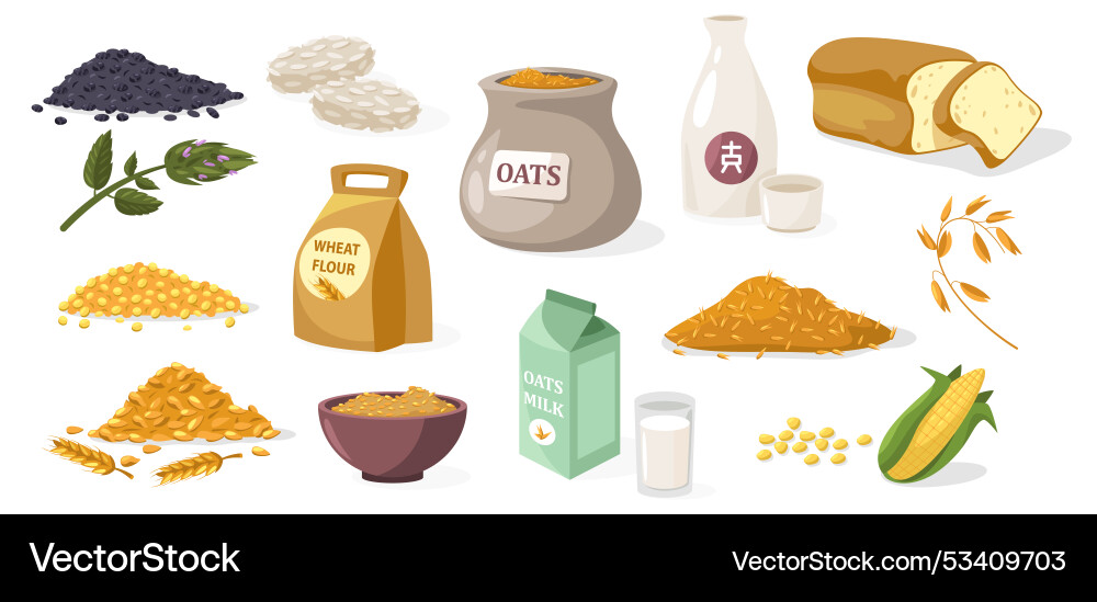Cereal grains cartoon flour rice wheat Royalty Free Vector