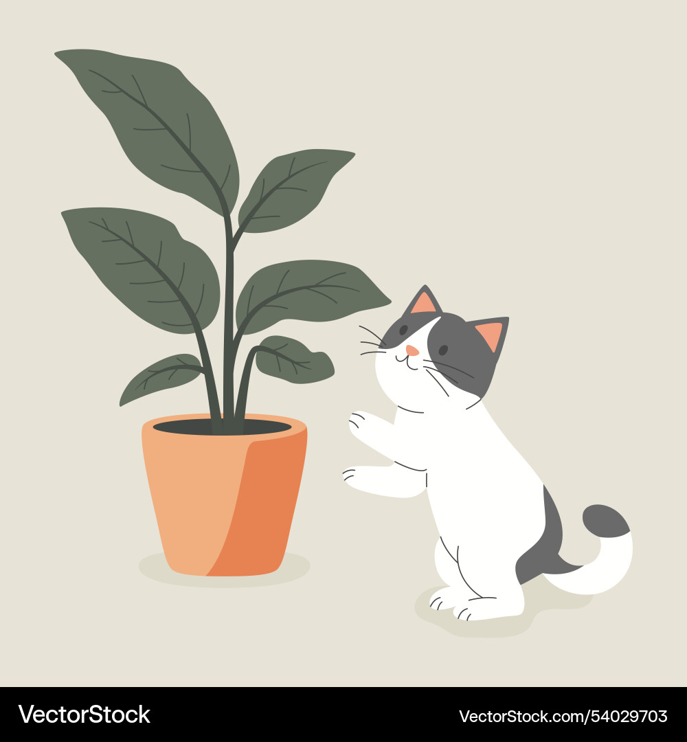 Cute cartoon flat cat reaching for a potted Vector Image