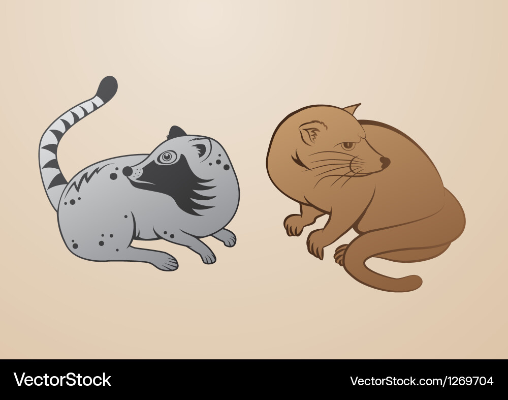 Luwak Royalty Free Vector Image - VectorStock