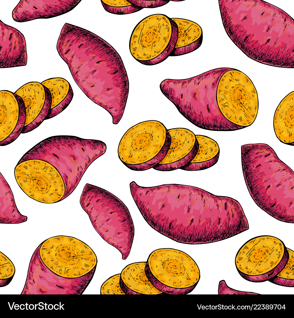Sweet potato seamless pattern drawing Royalty Free Vector