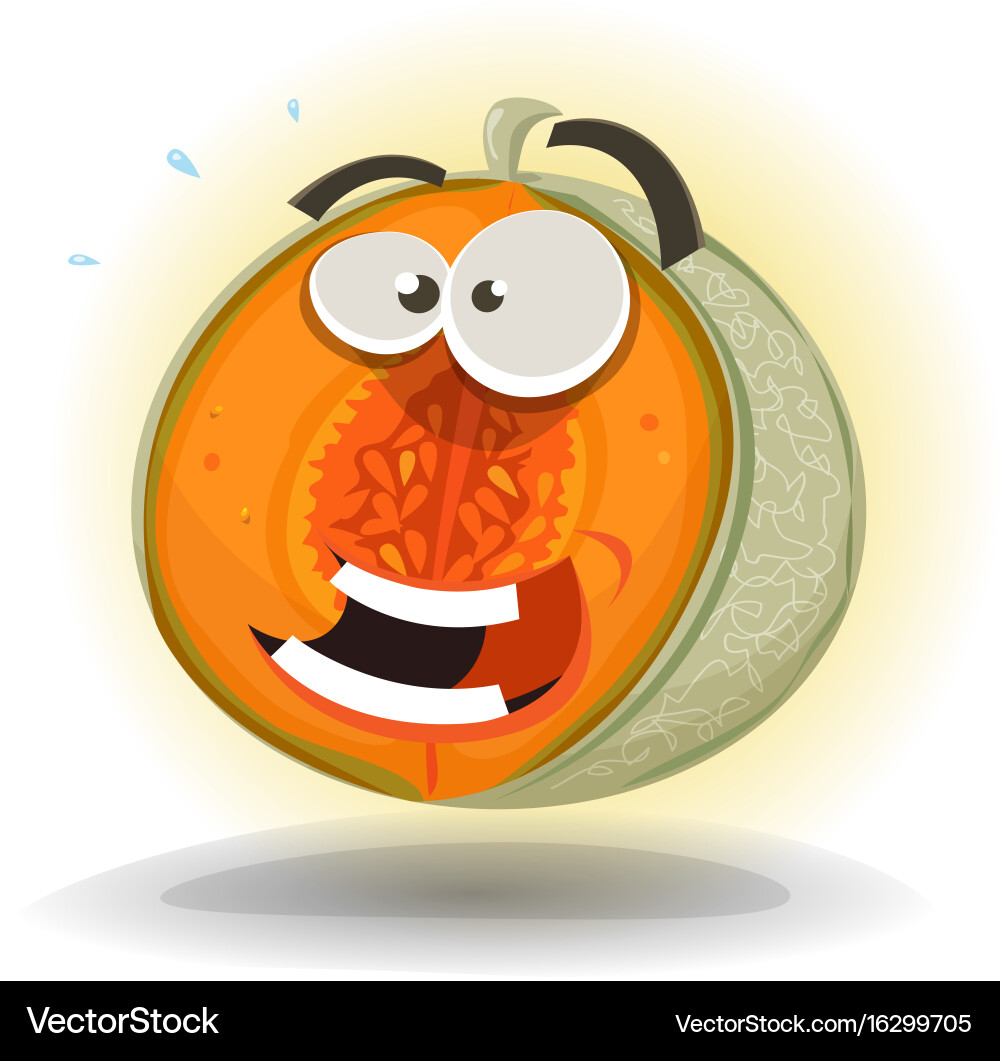Cartoon funny melon character Royalty Free Vector Image