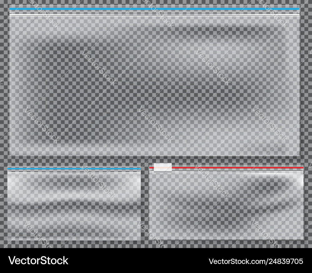 Transparent nylon bag with lock or zip Royalty Free Vector