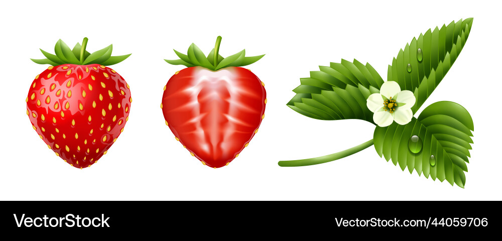 Strawberry realistic set Royalty Free Vector Image