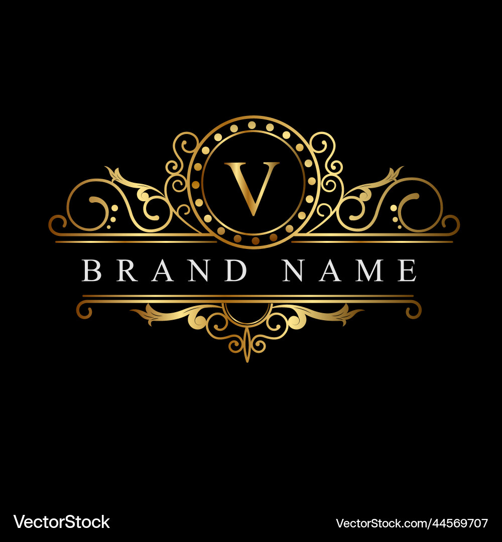 Elegant V Initial Logo Template Royalty Free Vector Image