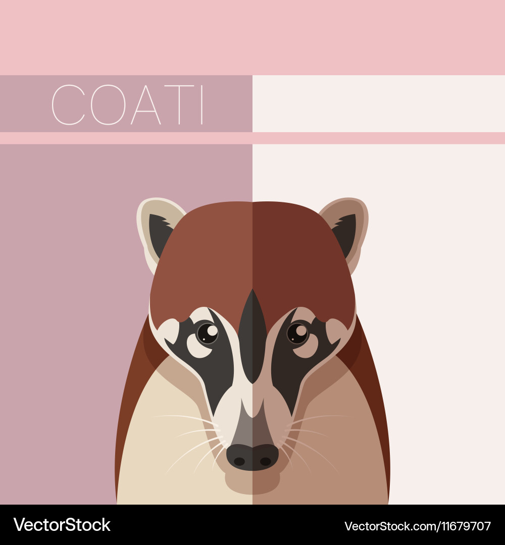 Flat postcard with coati Royalty Free Vector Image