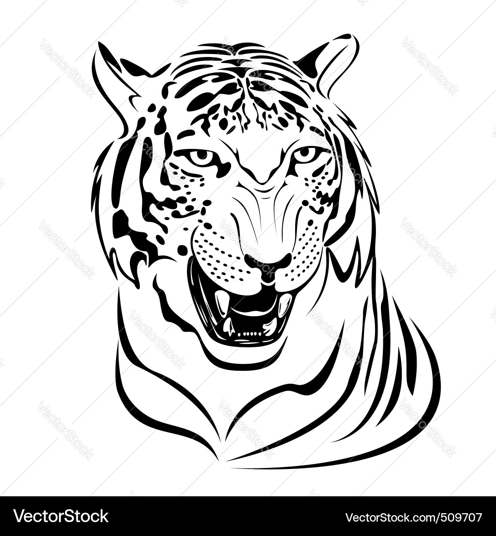 Tiger print Royalty Free Vector Image - VectorStock