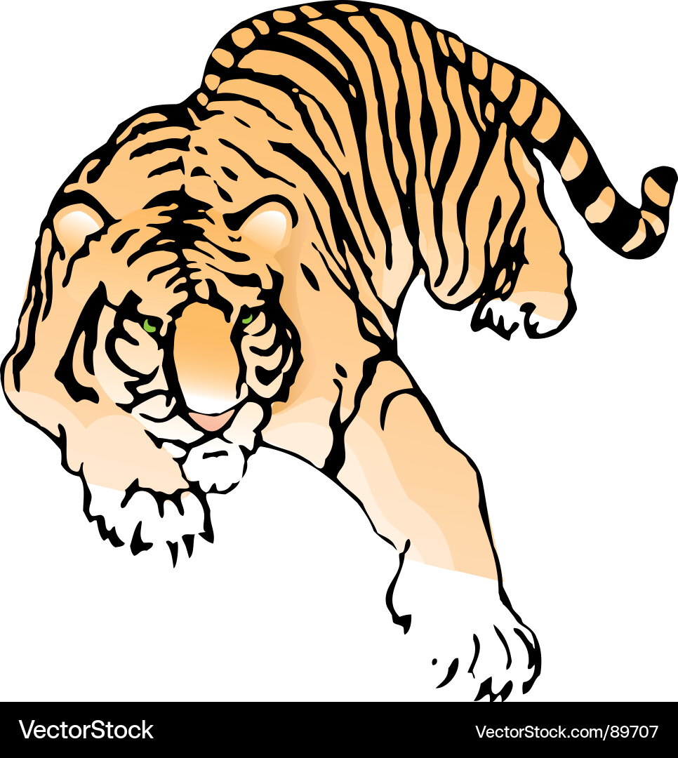 Tiger Royalty Free Vector Image - VectorStock
