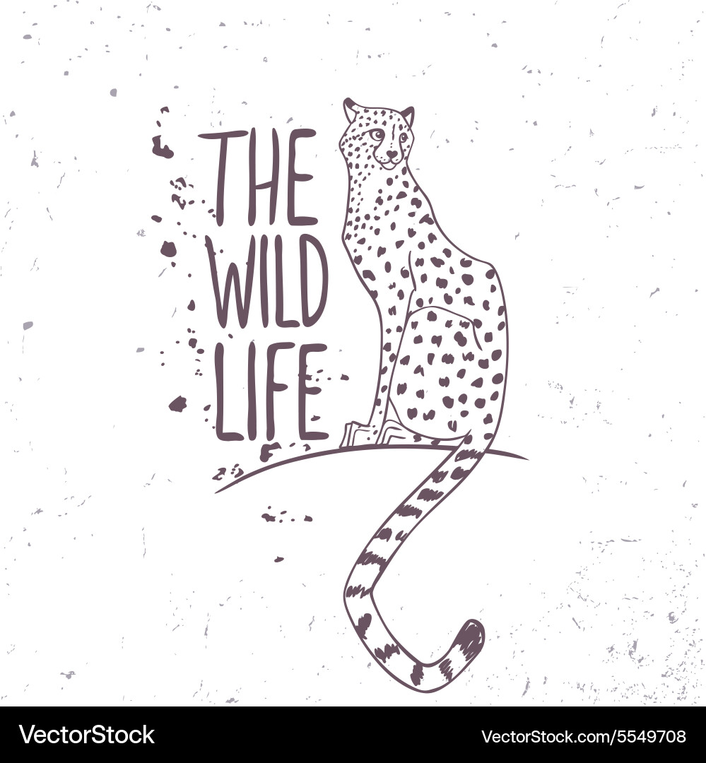 Cheetah Royalty Free Vector Image - VectorStock