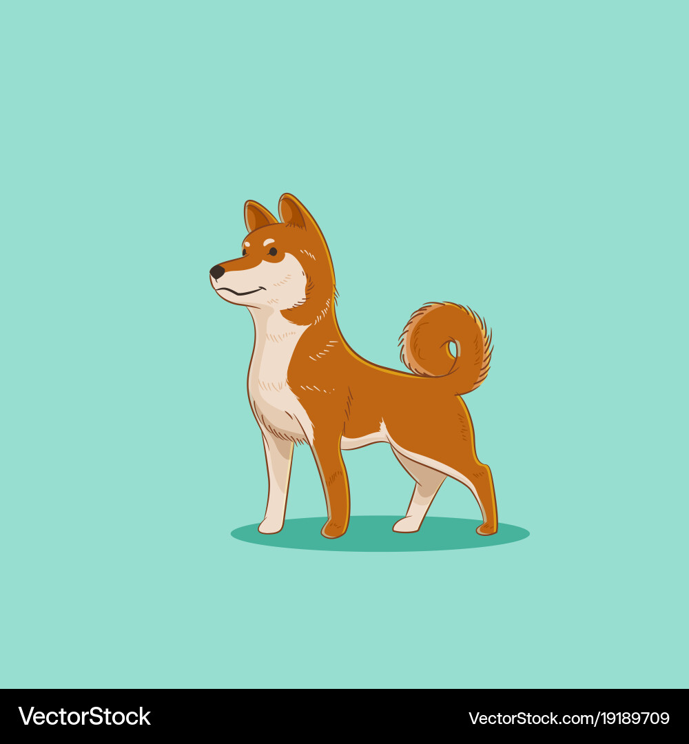 Shiba inu Royalty Free Vector Image - VectorStock
