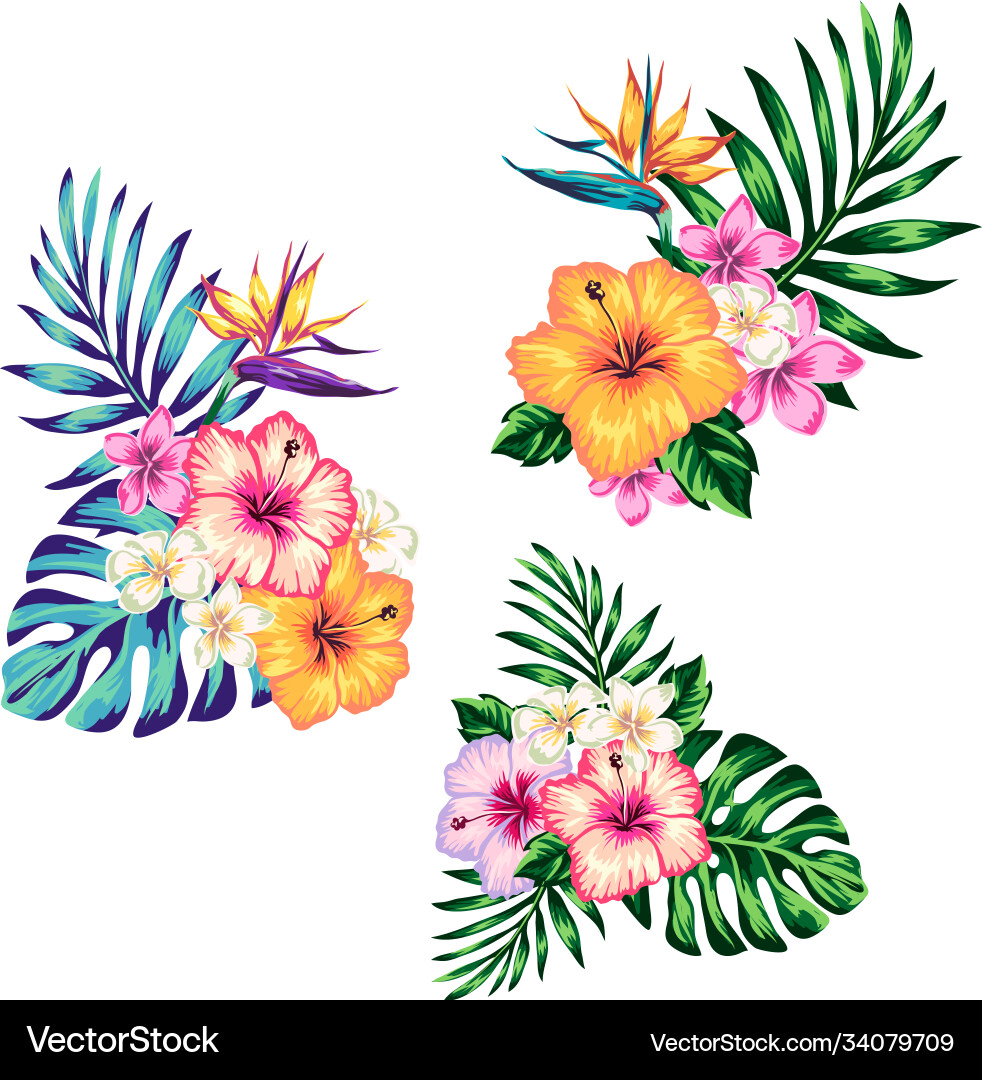 Tropical collection with exotic flowers Royalty Free Vector