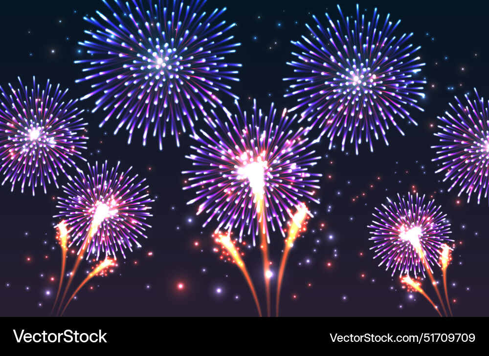 Vibrant fireworks lighting up the night sky Vector Image
