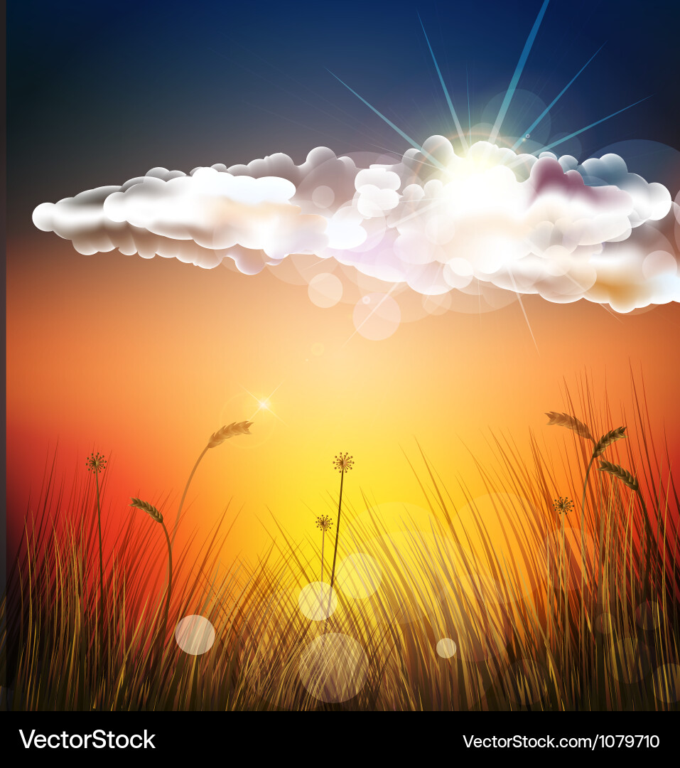 Sunset Royalty Free Vector Image - VectorStock