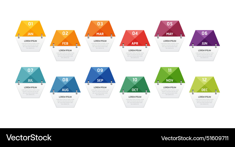 Infographic template for business 12 months Vector Image