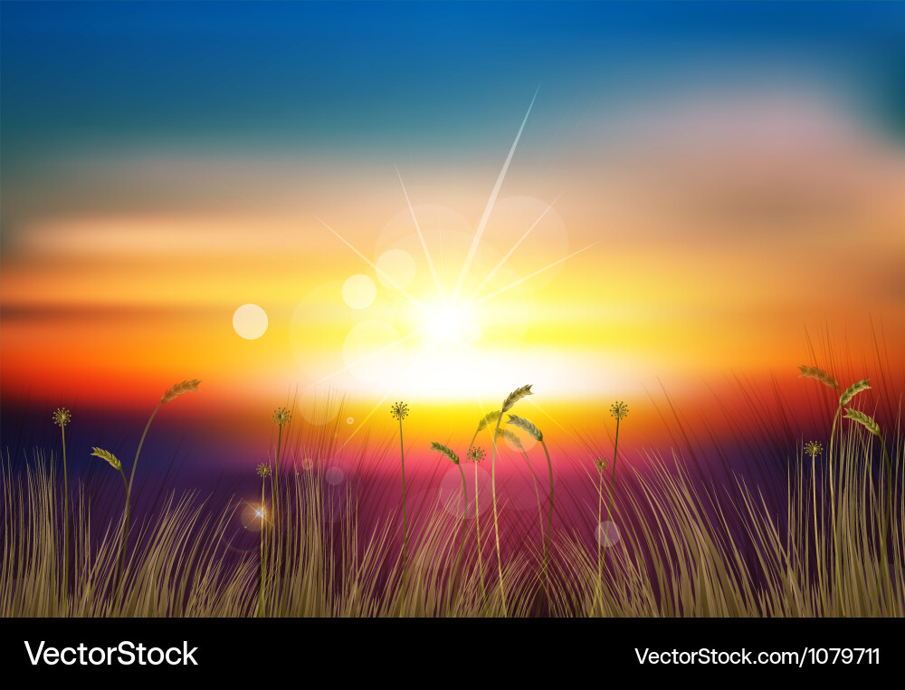 Sunset Royalty Free Vector Image - VectorStock