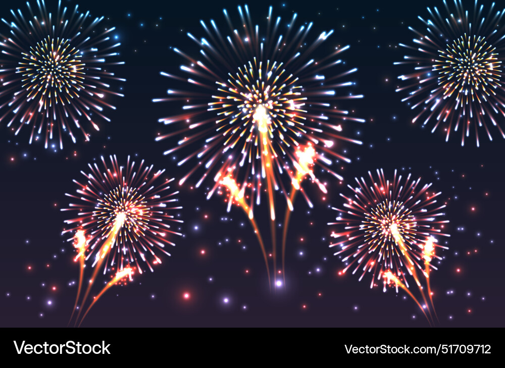 Bright fireworks illuminating the dark night sky Vector Image