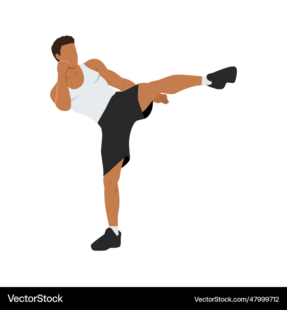 Man doing roundhouse side kicks kick sport Vector Image