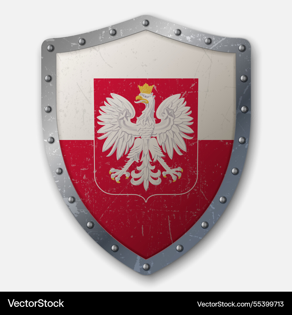 Old shield with flag Royalty Free Vector Image