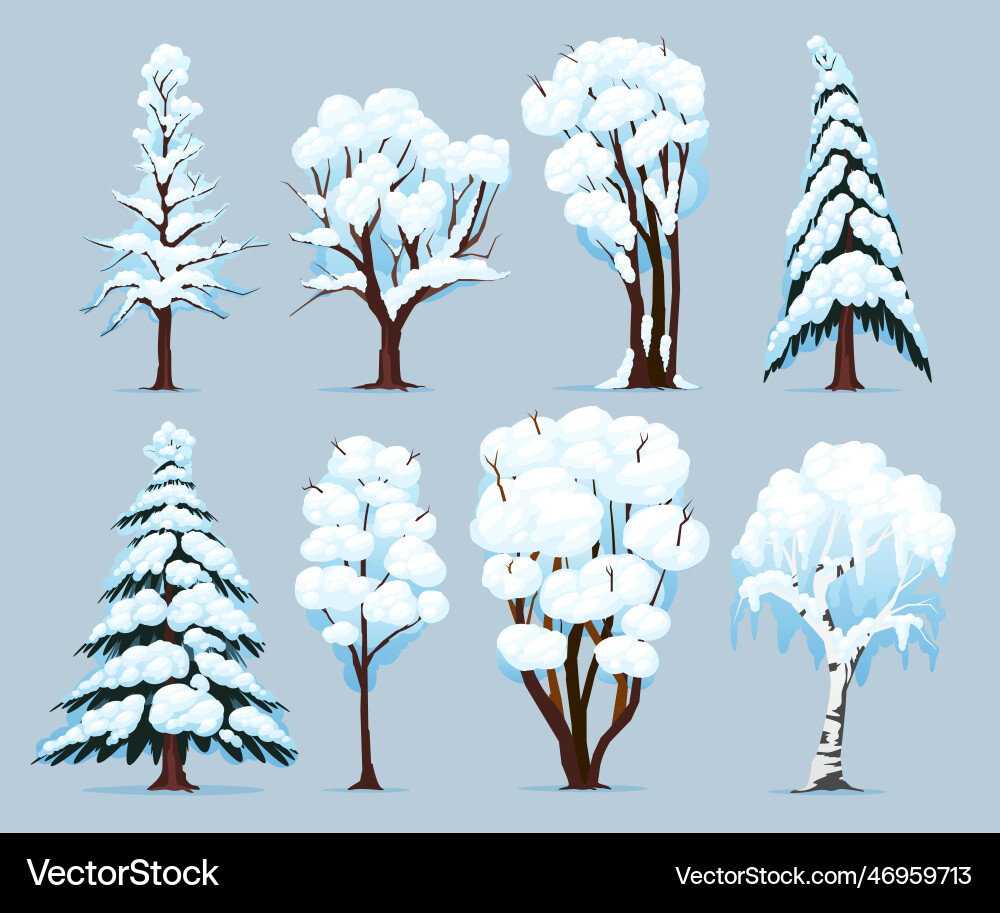 Winter trees set Royalty Free Vector Image - VectorStock
