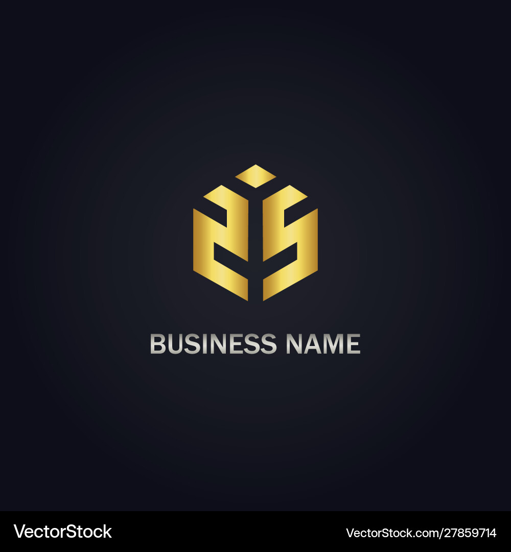 S cube sign company logo Royalty Free Vector Image