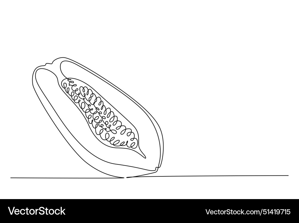 Continuous one line drawing of half sliced Vector Image