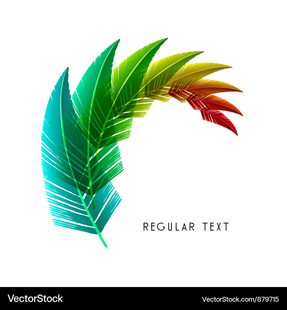 Feather design Royalty Free Vector Image - VectorStock