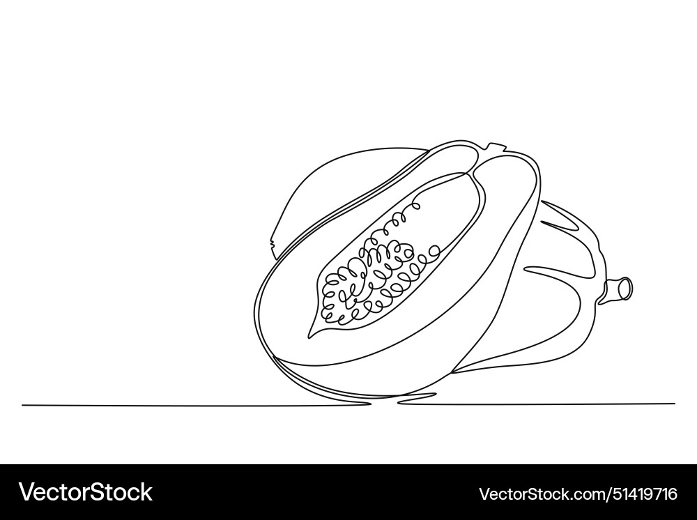 Continuous one line drawing of half sliced Vector Image