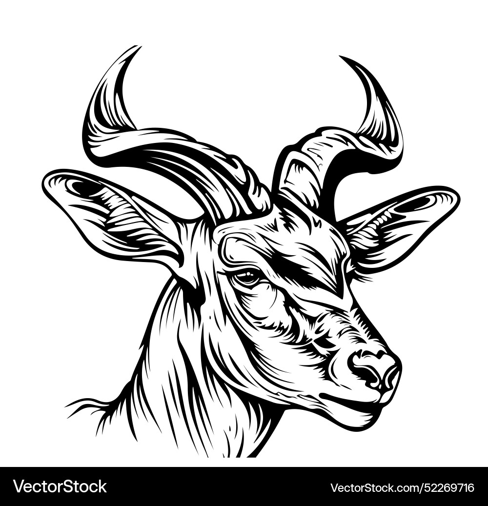 Hand drawn sketch style lesser kudu Royalty Free Vector