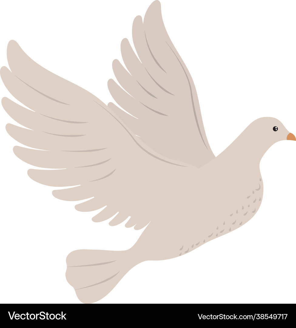 Cute dove flying Royalty Free Vector Image - VectorStock