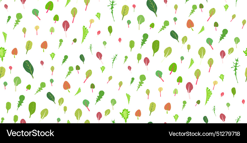 Salad leaf set seamless pattern Royalty Free Vector Image