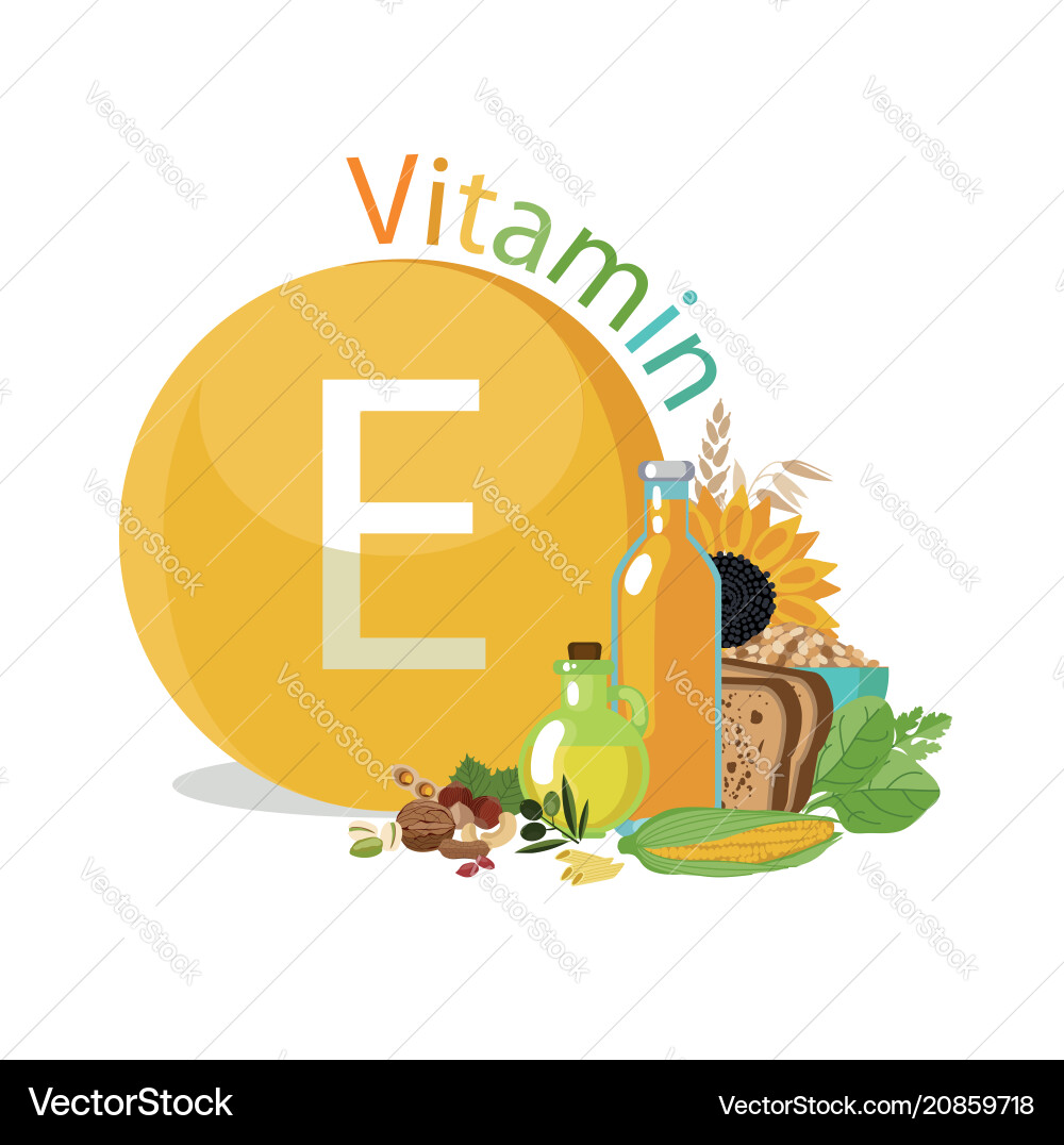 Vitamin e Royalty Free Vector Image - VectorStock