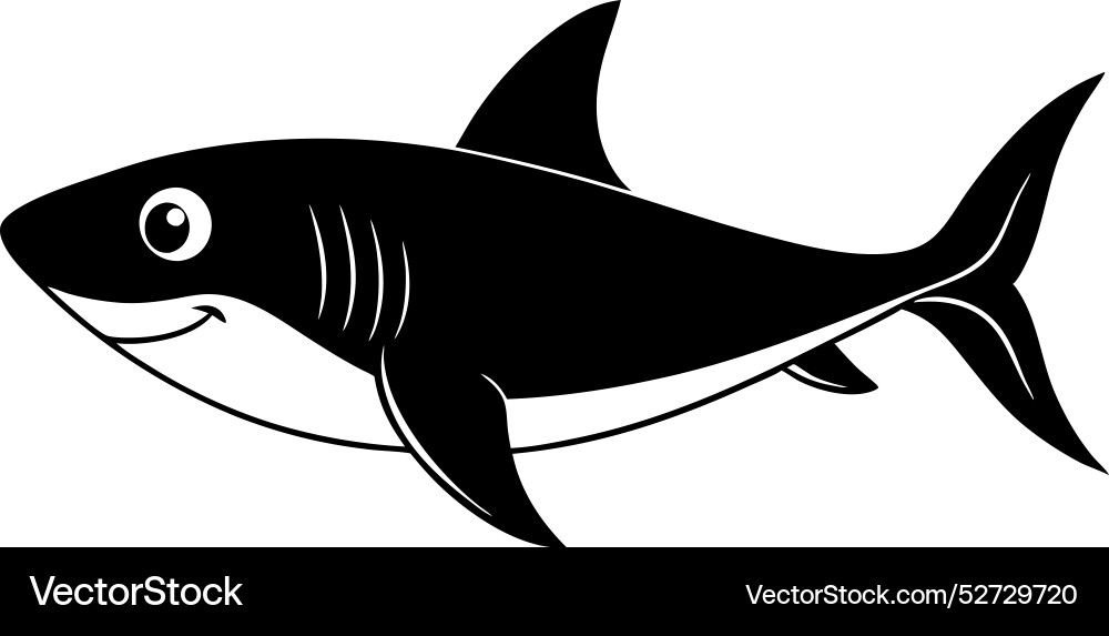 Bull shark on white background Royalty Free Vector Image