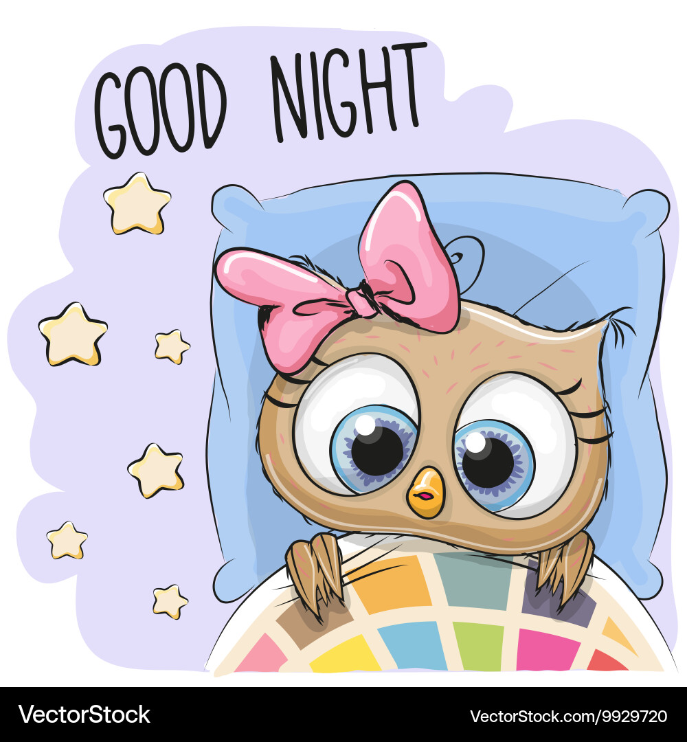 Cute cartoon sleeping owl Royalty Free Vector Image