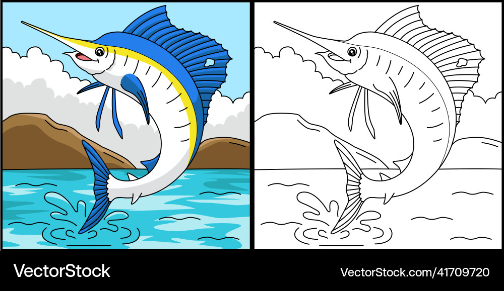Sailfish coloring page colored – Royalty-Free Vector | VectorStock
