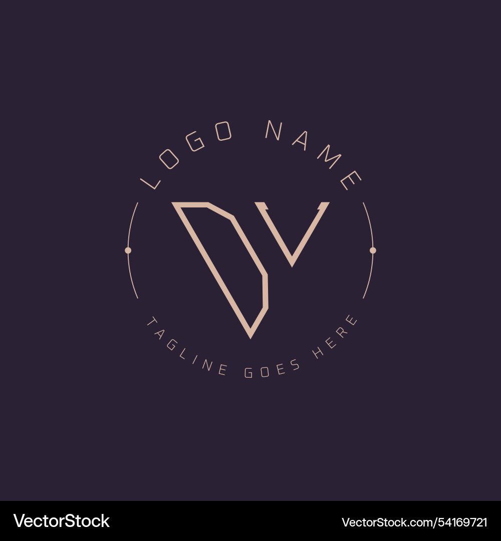 Professional dv logo modern minimal letter Vector Image