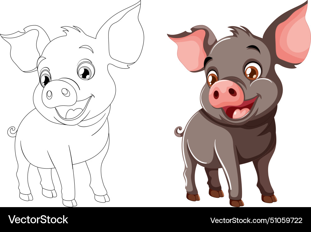 A piglet colored and line art Royalty Free Vector Image