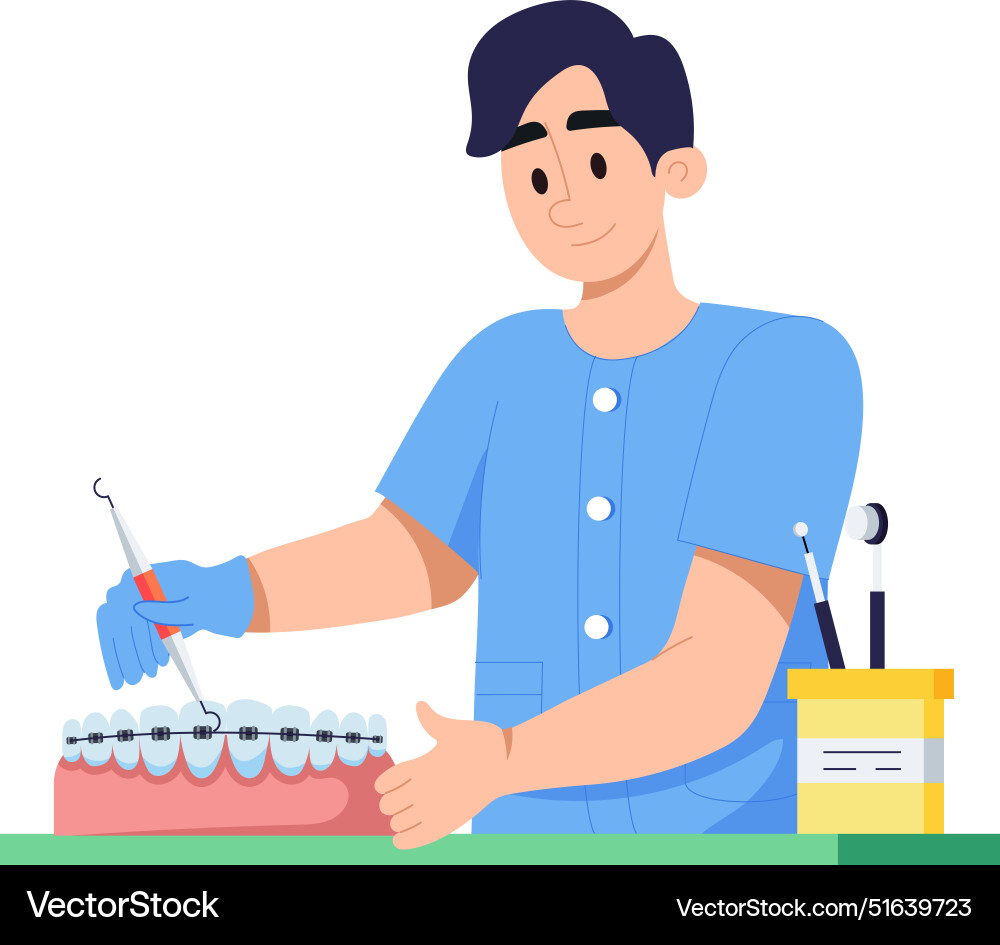 Basic orthodontist Royalty Free Vector Image - VectorStock