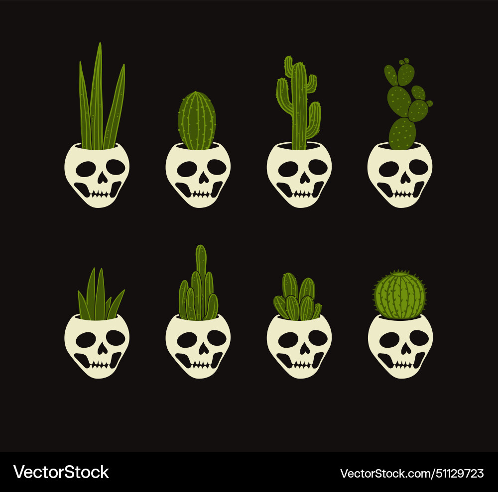 Skull pots with cacti on black background Vector Image
