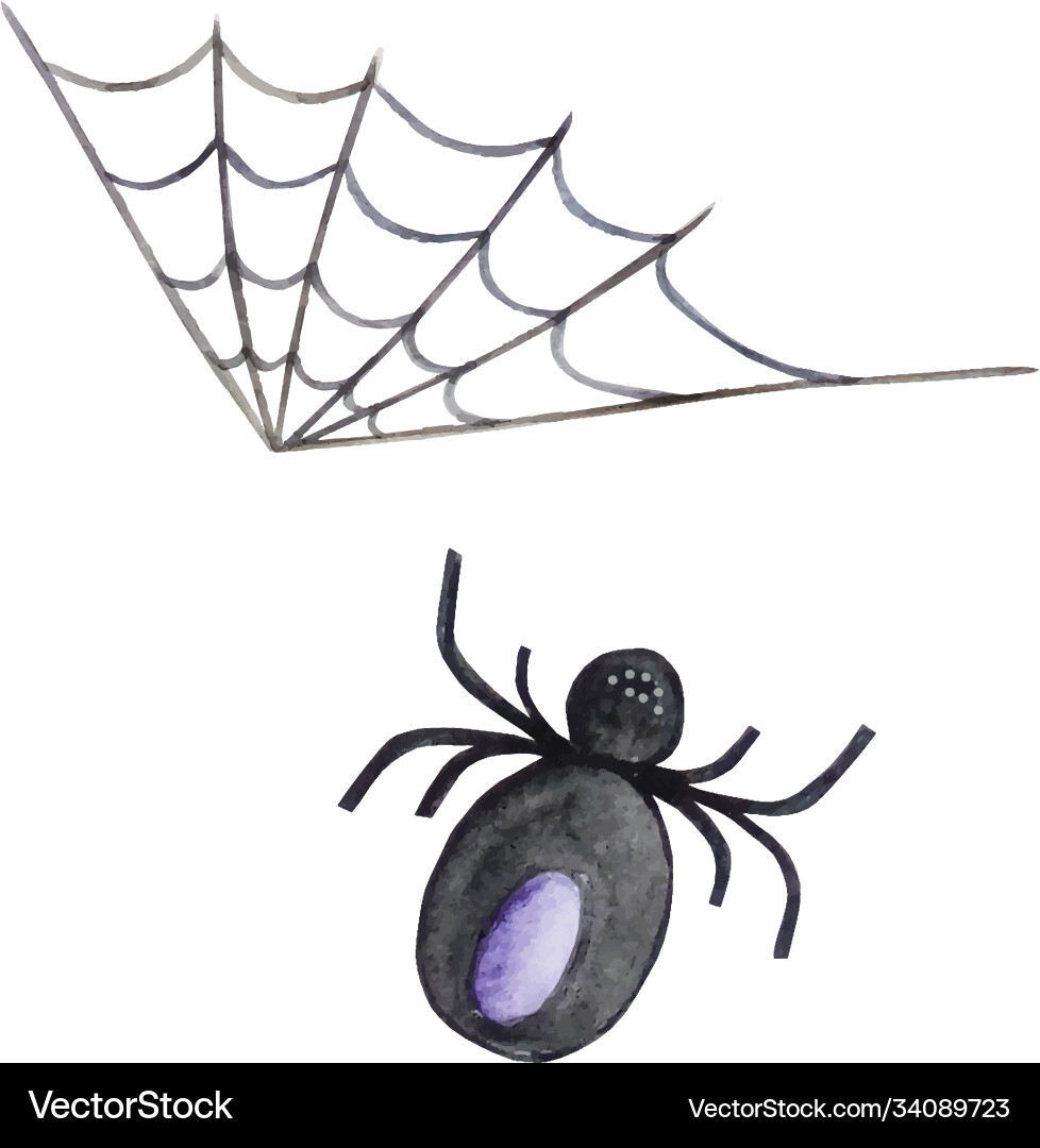 Watercolor black spider with web Royalty Free Vector Image