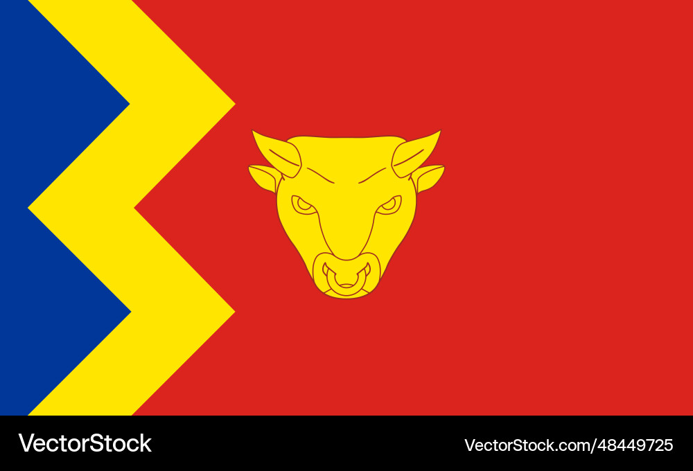 Birmingham flag Royalty Free Vector Image - VectorStock