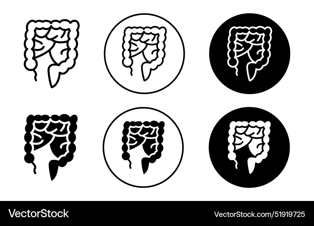 Gut icon Royalty Free Vector Image - VectorStock