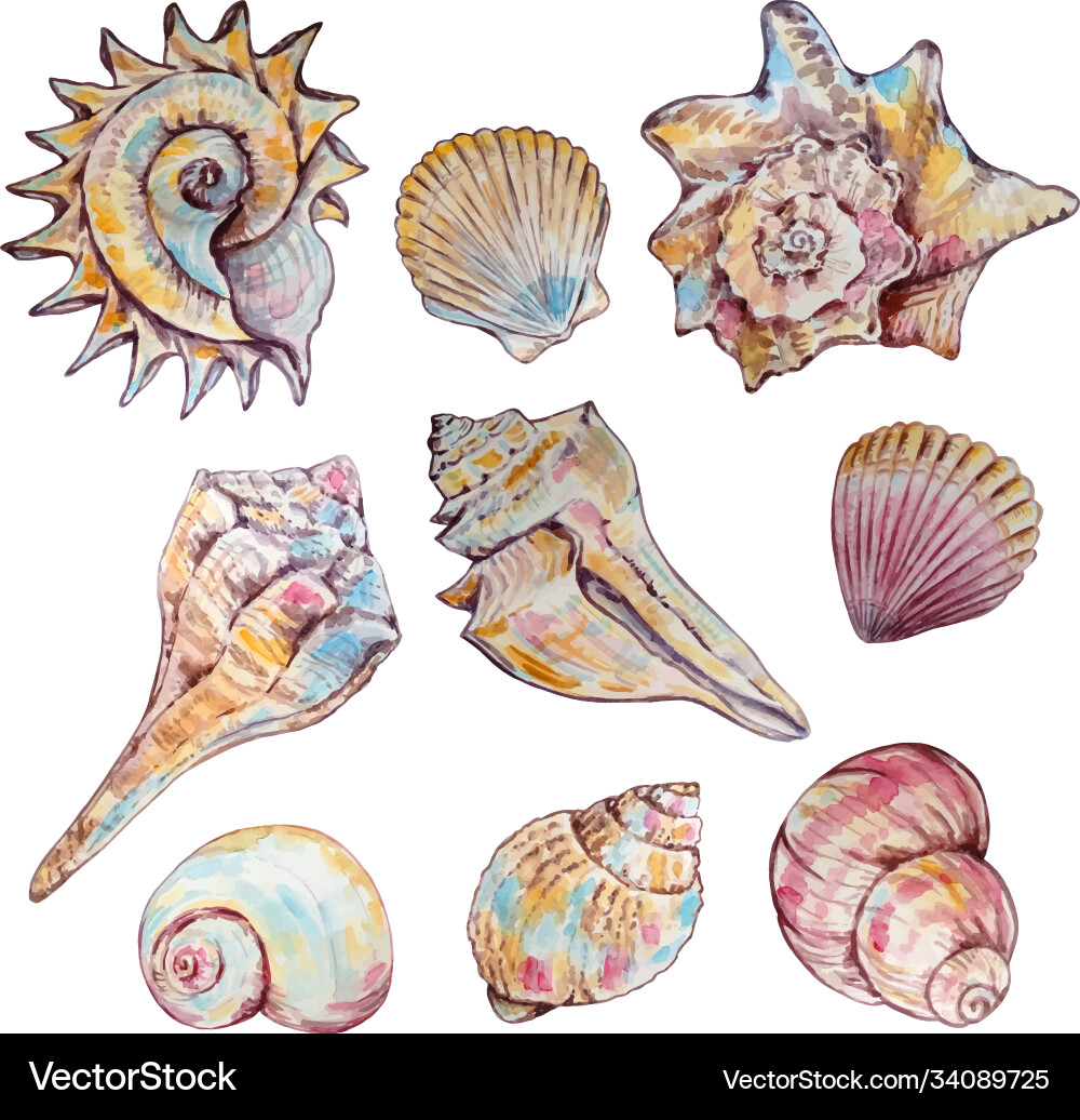 Set watercolor multicolored seashells Royalty Free Vector