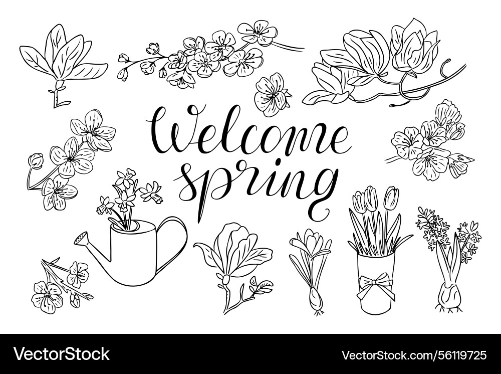 Welcome spring hand drawn lettering with doodles Vector Image