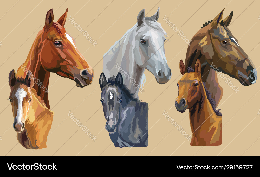 Mare and foals Royalty Free Vector Image - VectorStock